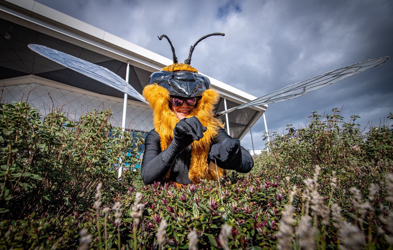 BuzzFest | Sutton Coldfield & North Birmingham Beekeepers