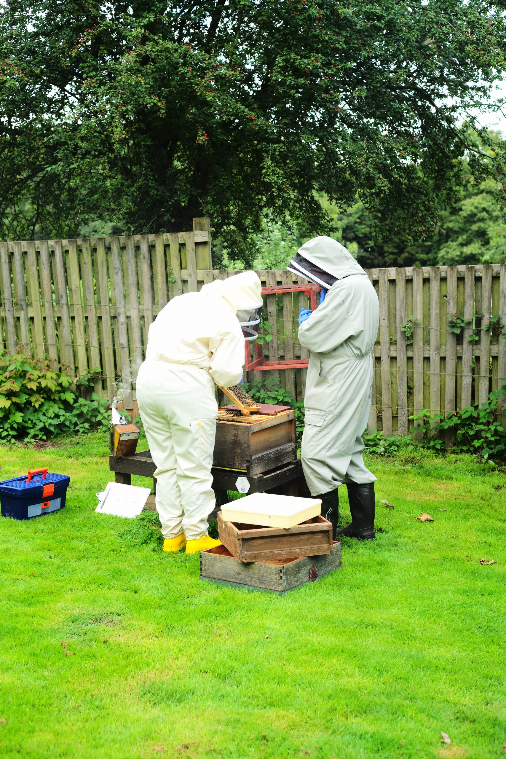 Basic Bee Exam 2023 | Sutton Coldfield & North Birmingham Beekeepers