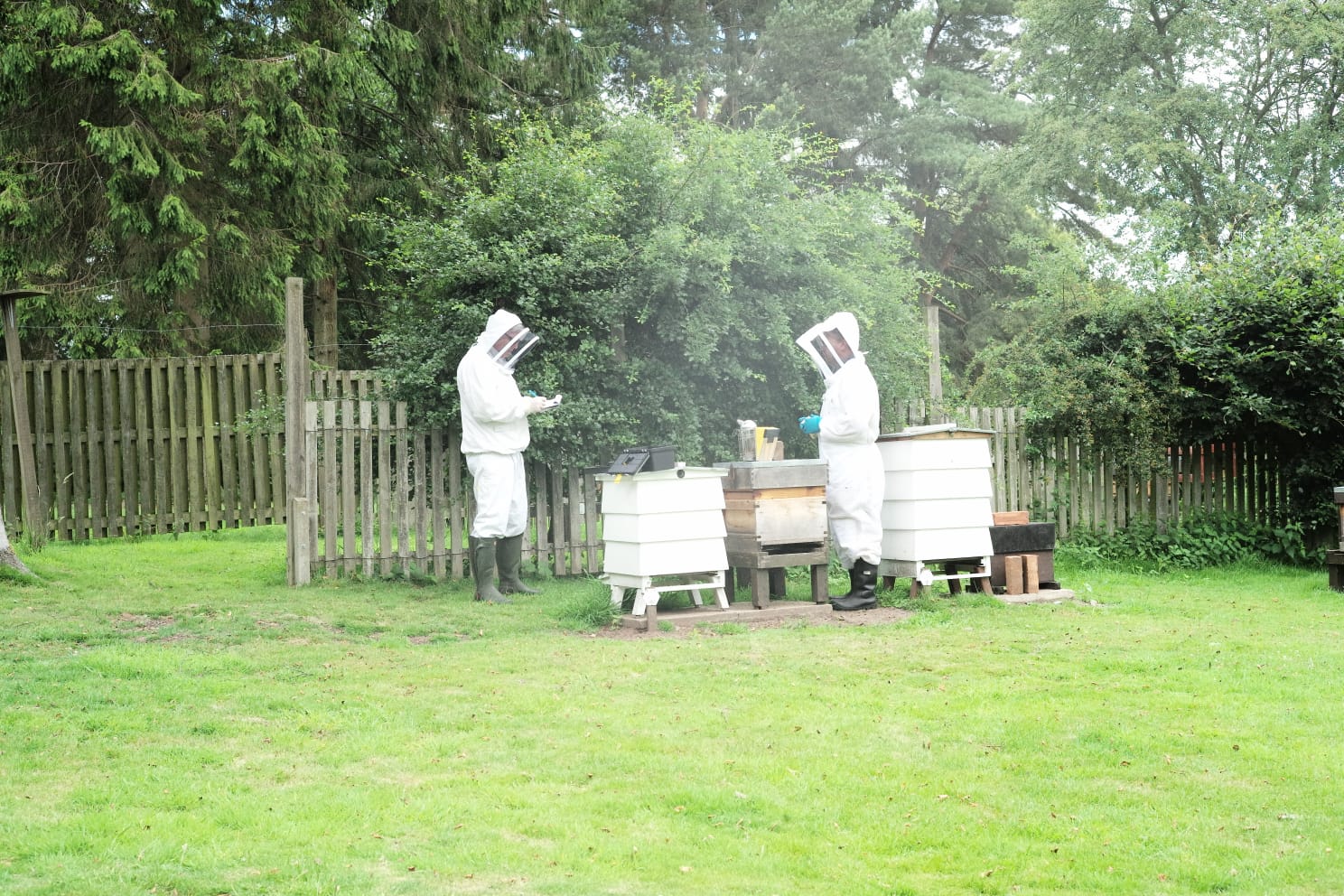 BBKA Healthy Bee Certificate | Sutton Coldfield & North Birmingham ...